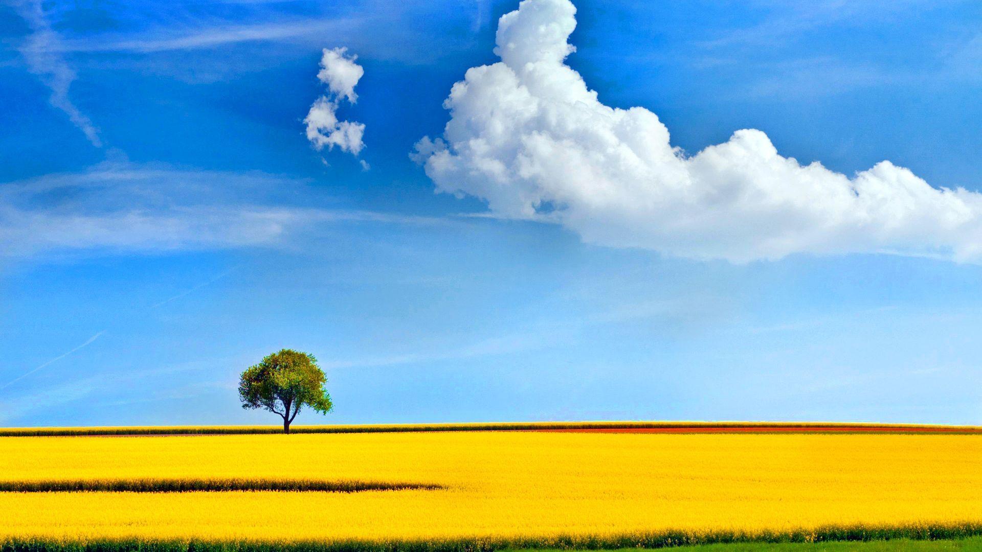 Cloud Nature HD Wallpapers - Top Free Cloud Nature HD Backgrounds ...