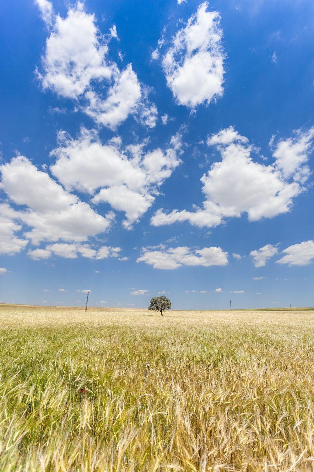 Cloud Nature HD Wallpapers - Top Free Cloud Nature HD Backgrounds ...