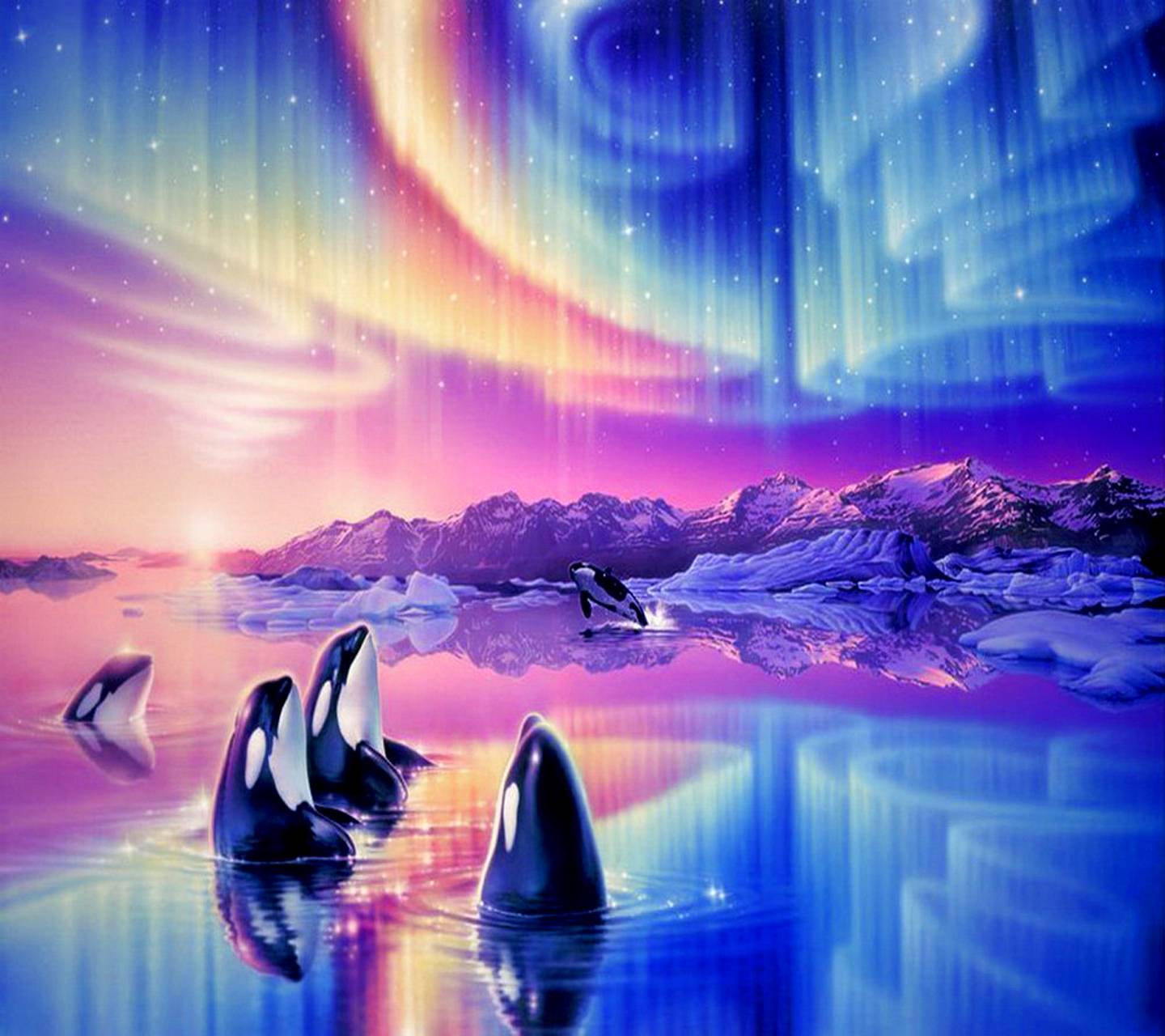 Sea World Wallpapers - Top Free Sea World Backgrounds - WallpaperAccess