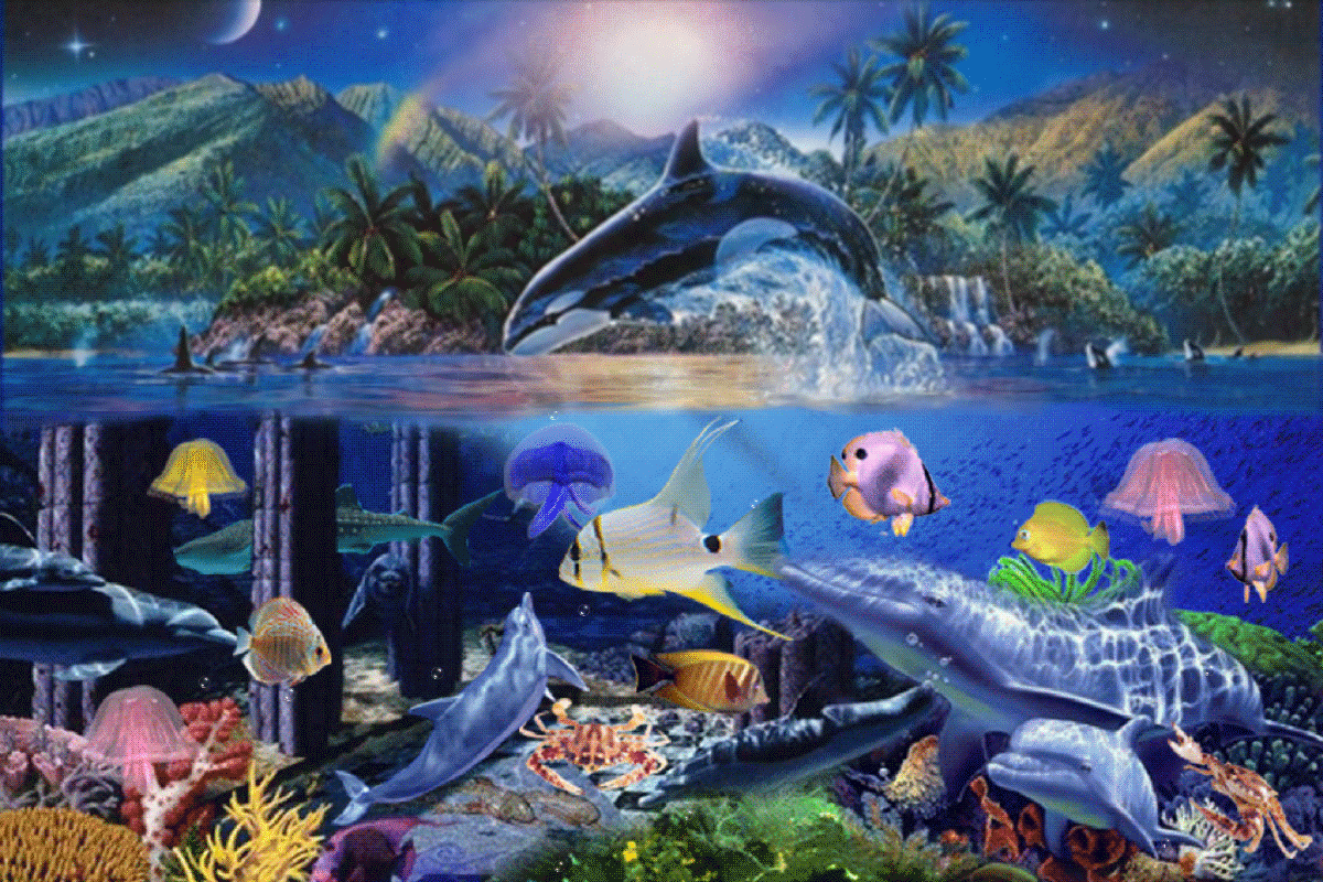 Sea World Wallpapers - Top Free Sea World Backgrounds - WallpaperAccess