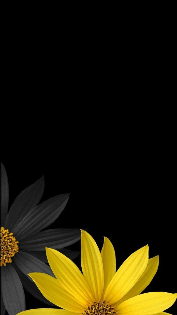 Dark Sunflower Wallpapers - Top Free Dark Sunflower Backgrounds ...