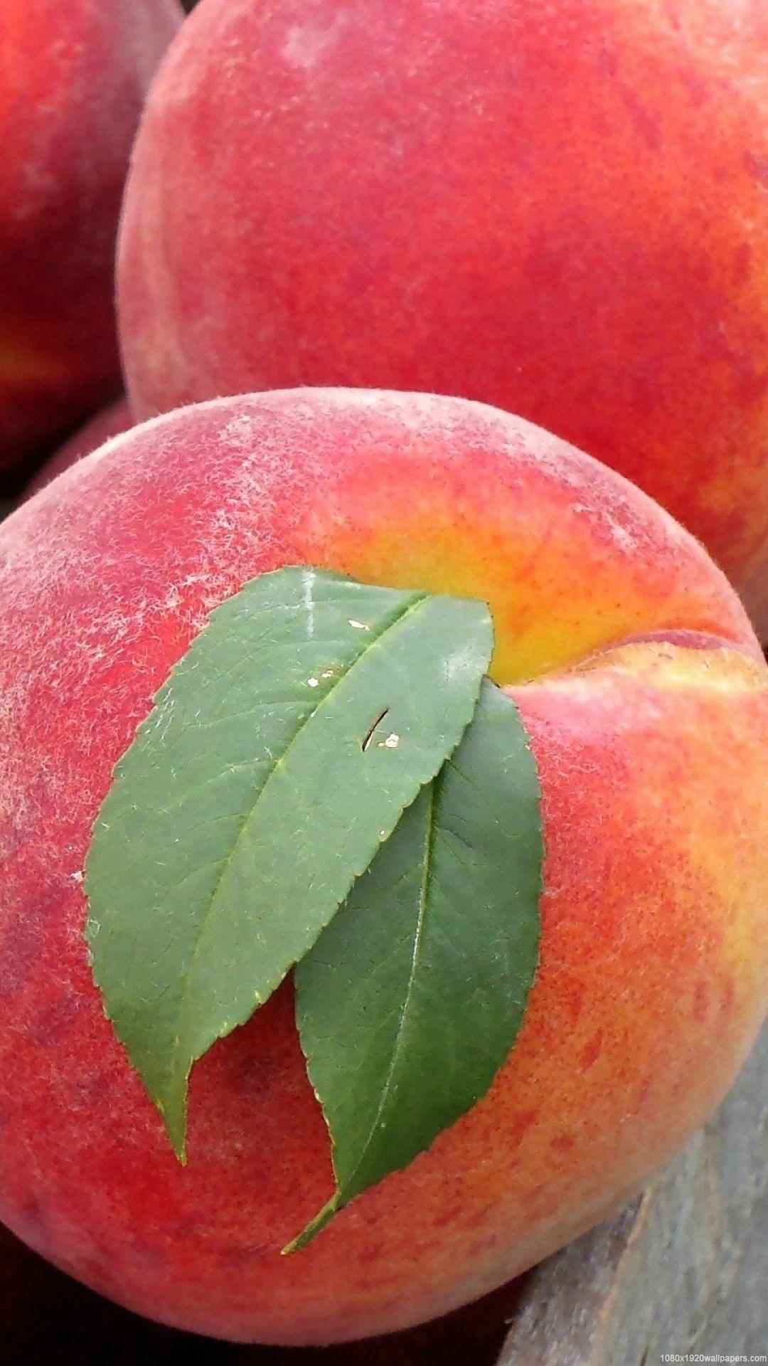 Peach Fruit Wallpapers - Top Free Peach Fruit Backgrounds - WallpaperAccess