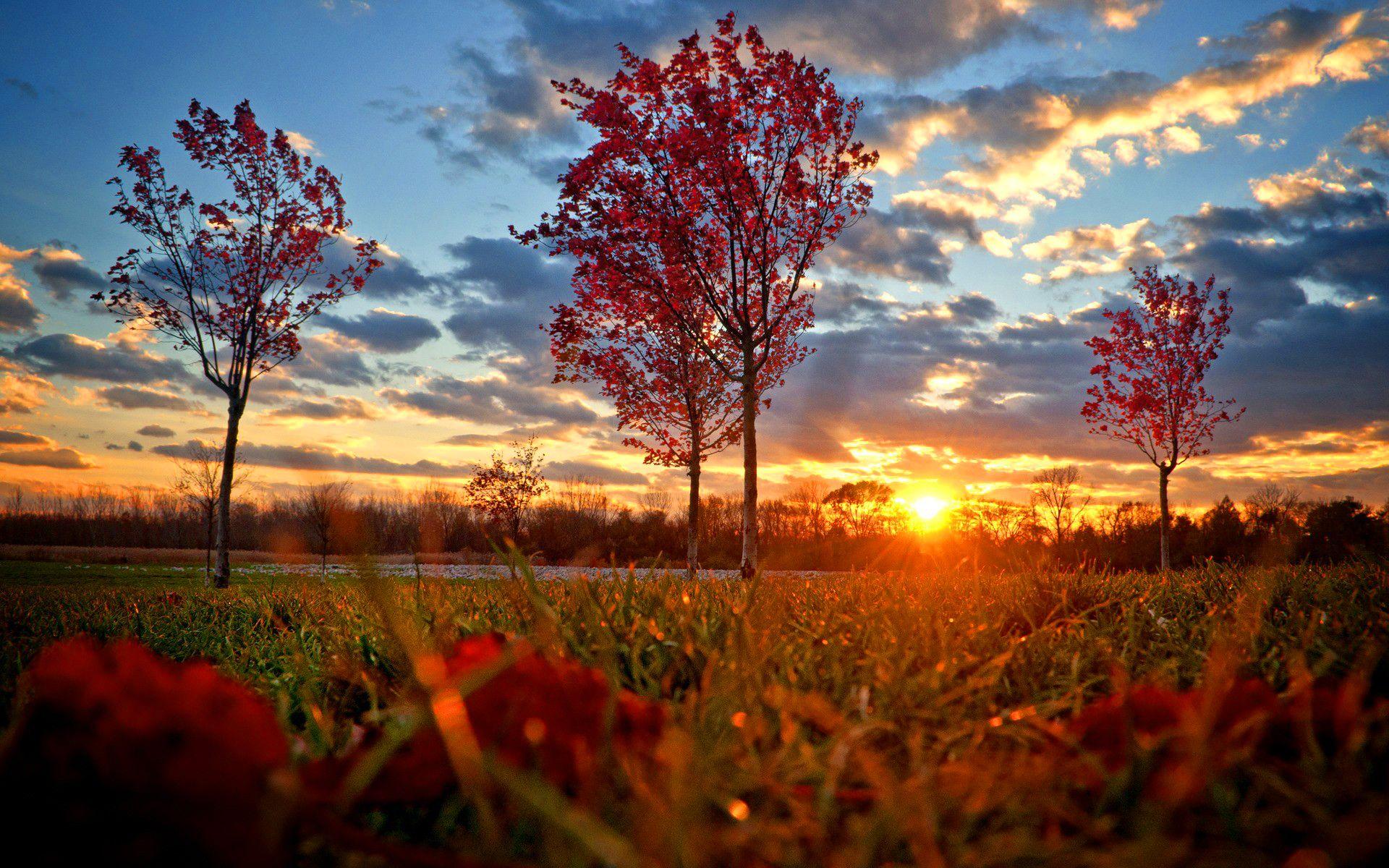 Sunset Rain Wallpapers - Top Free Sunset Rain Backgrounds - WallpaperAccess