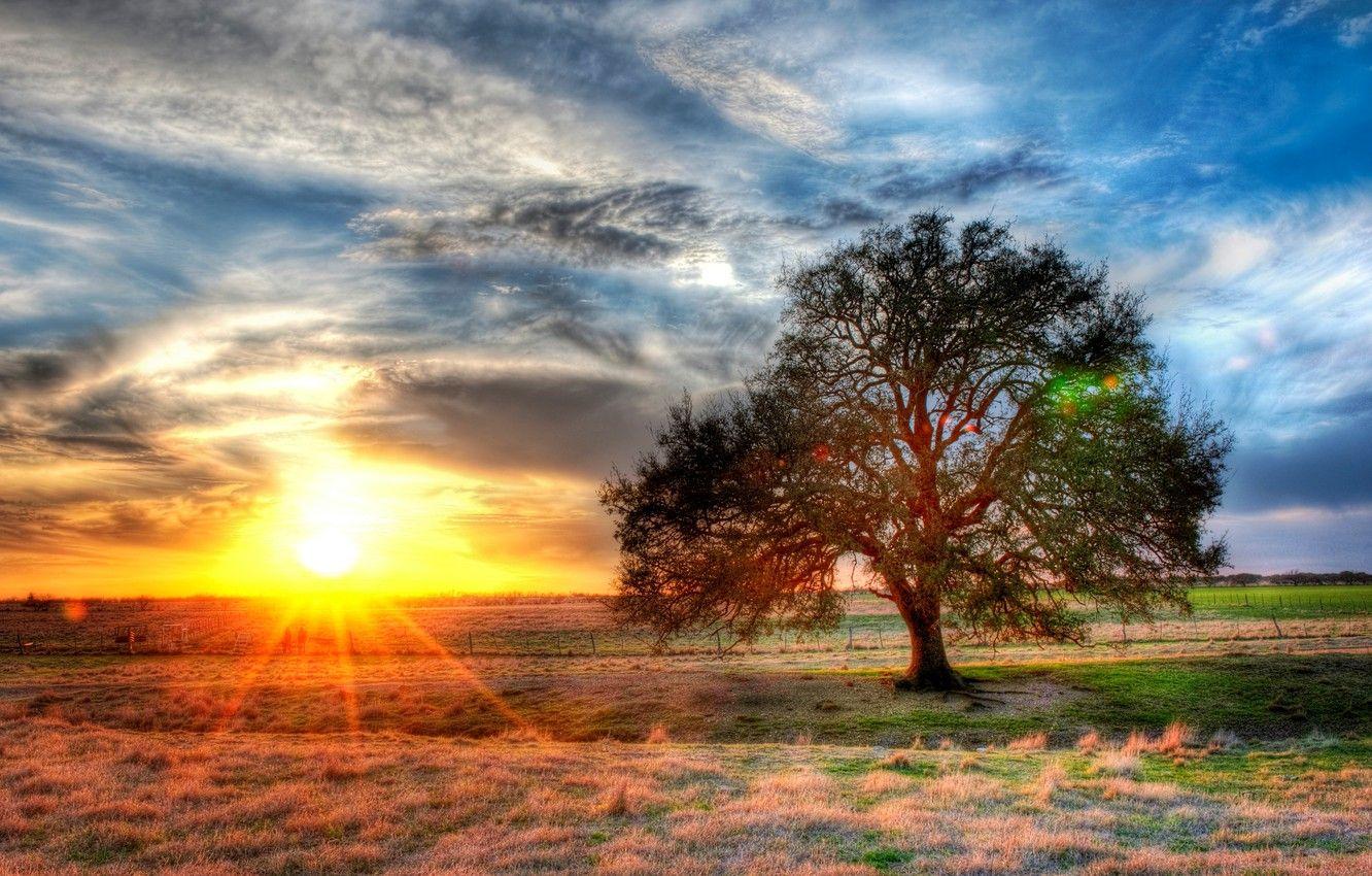 Farm Sunset Wallpapers - Top Free Farm Sunset Backgrounds - WallpaperAccess