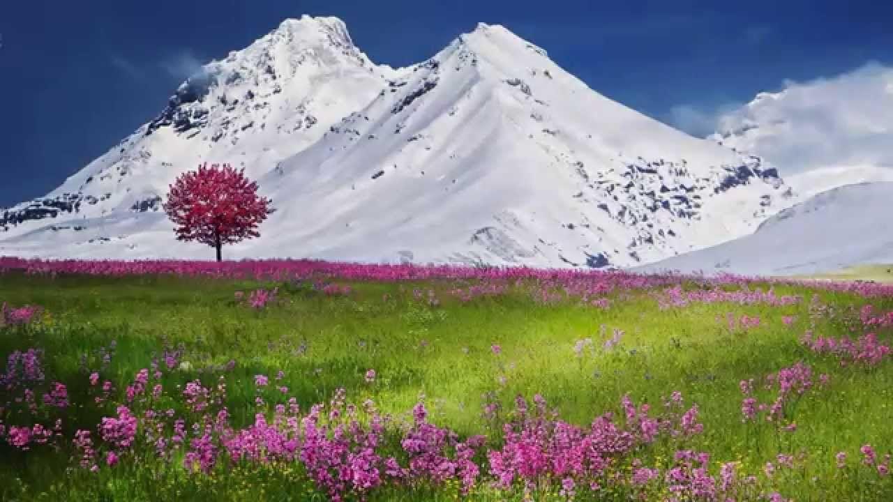 Pretty Landscape Wallpapers - Top Free Pretty Landscape Backgrounds ...