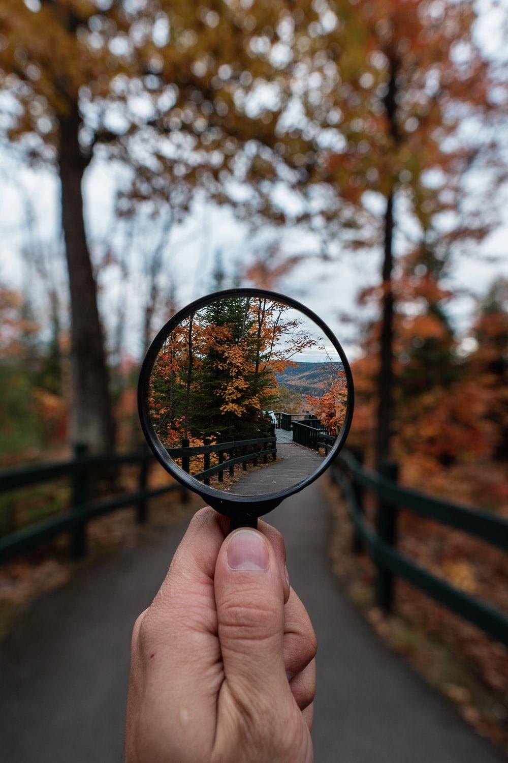 Magnifying Glass Wallpapers Top Free Magnifying Glass Backgrounds 