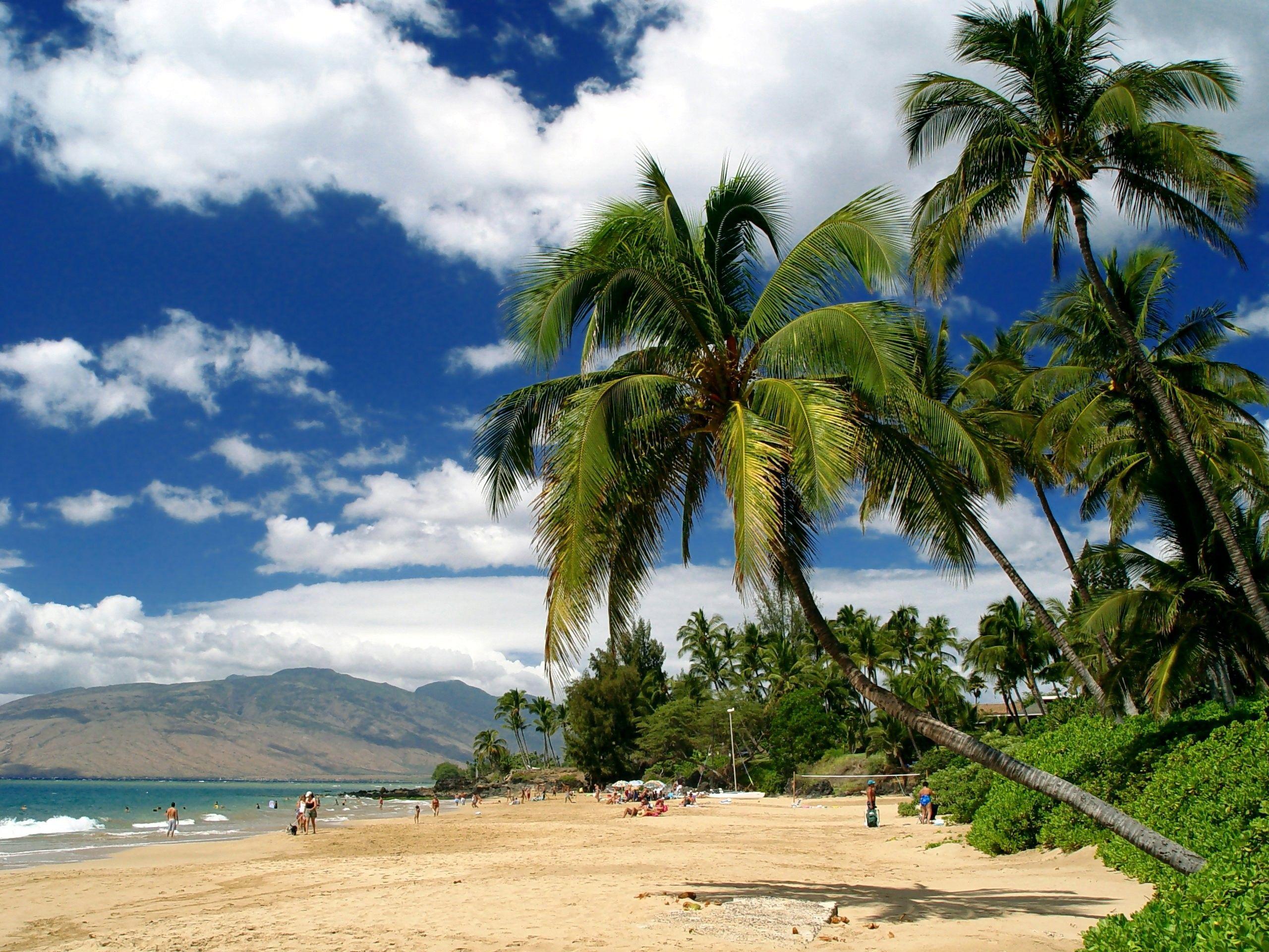 Maui Desktop Wallpapers - Top Free Maui Desktop Backgrounds ...