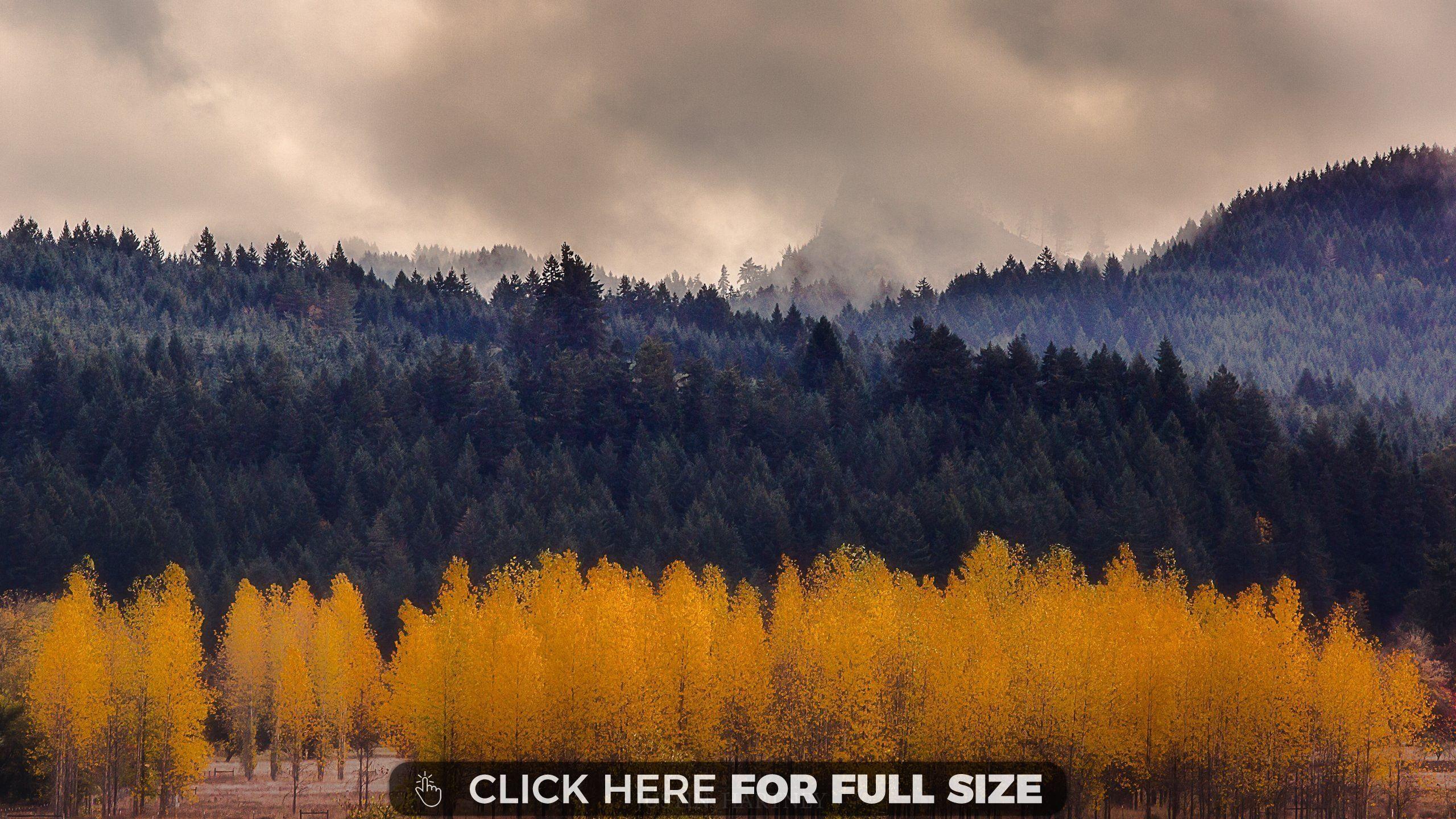 Pacific Northwest Spring Wallpapers - Top Free Pacific Northwest Spring ...