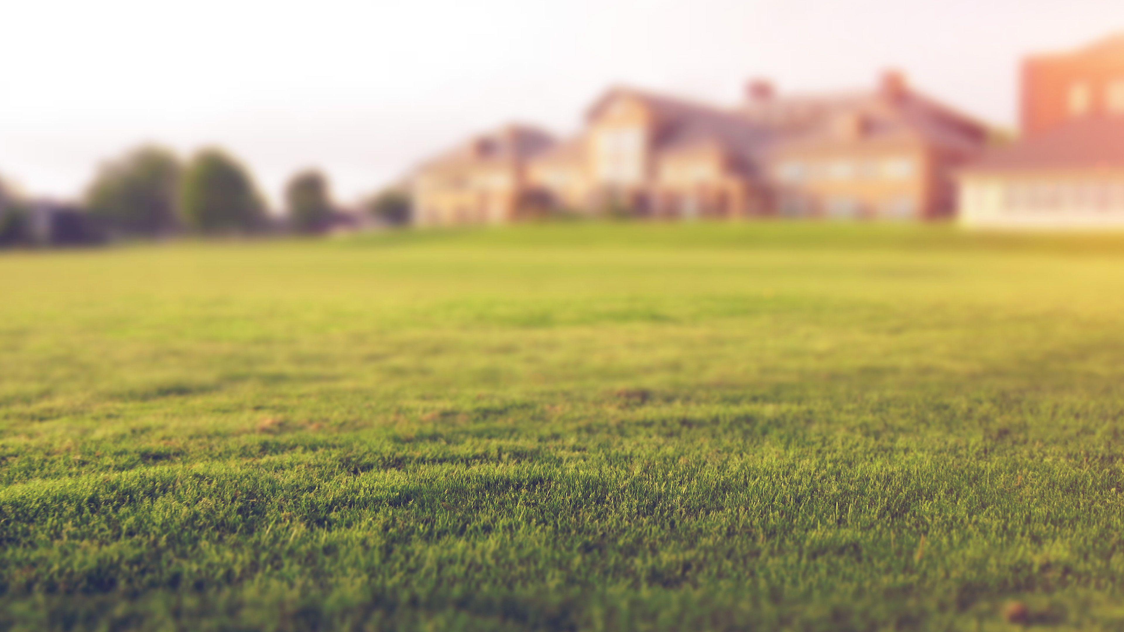 Garden 4k Wallpapers - Top Free Garden 4k Backgrounds - WallpaperAccess