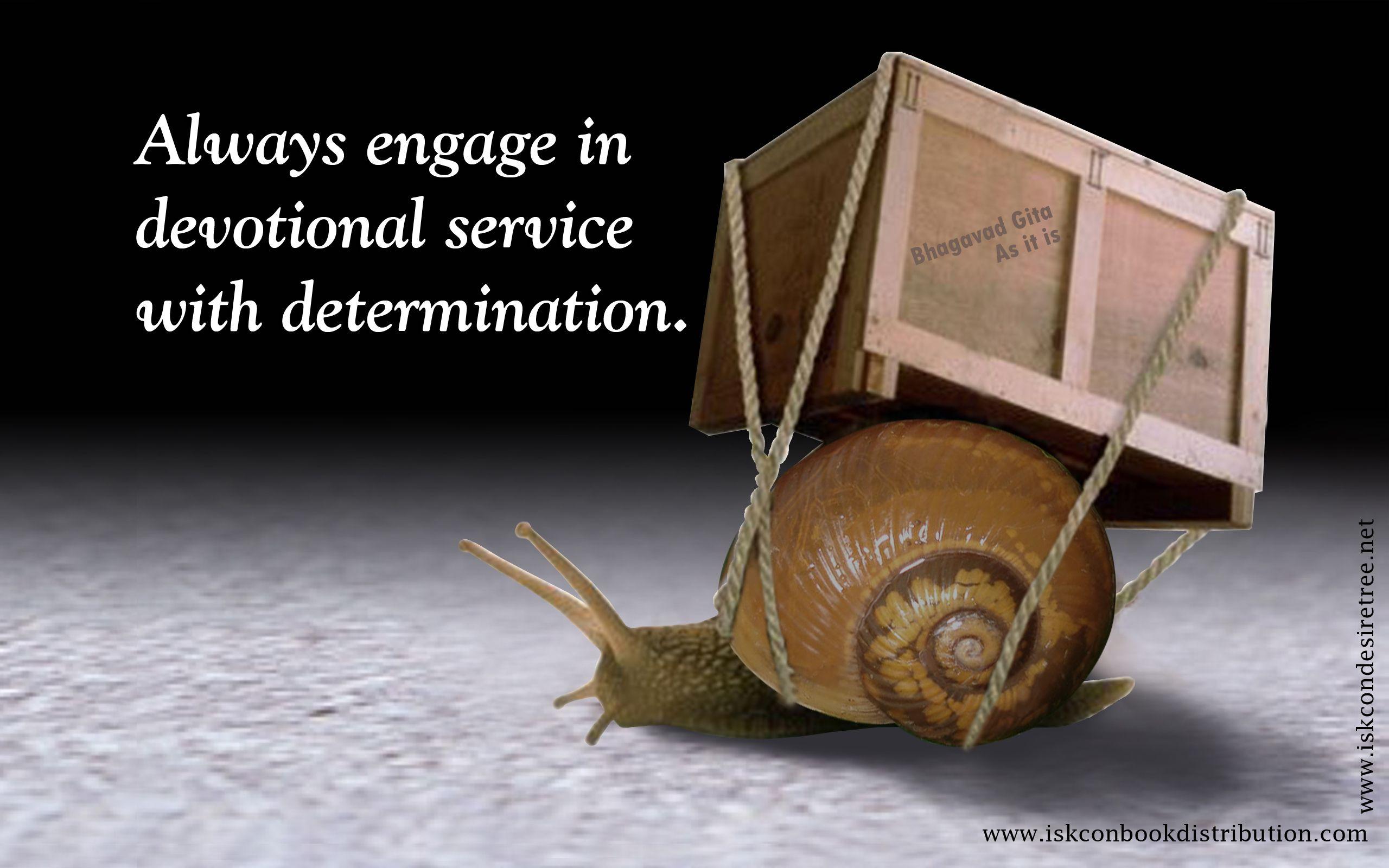 English Book Wallpapers - Top Free English Book Backgrounds ...