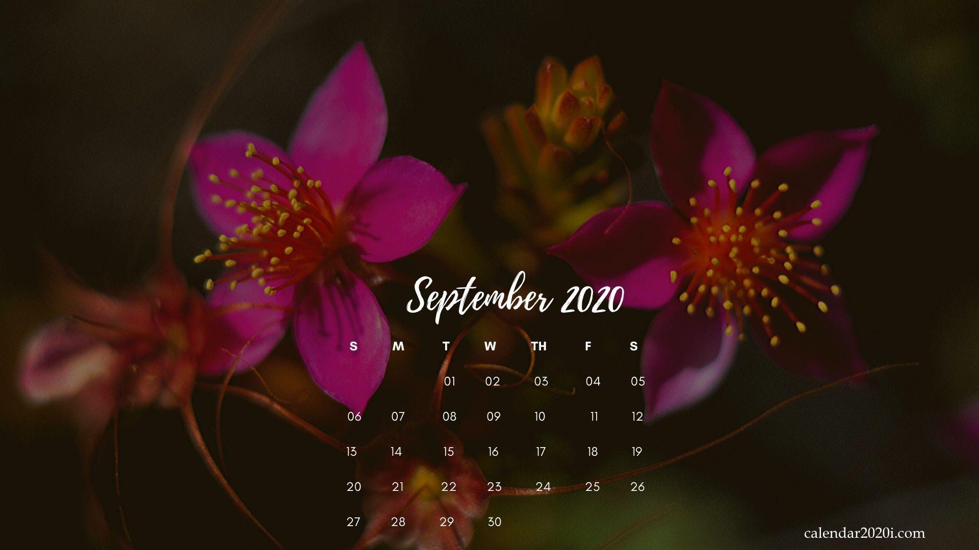 September 2020 Calendar Wallpapers - Top Free September 2020 Calendar ...