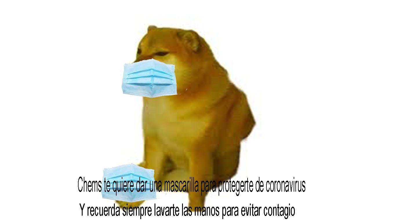 Cheems Wallpapers - Top Free Cheems Backgrounds - WallpaperAccess