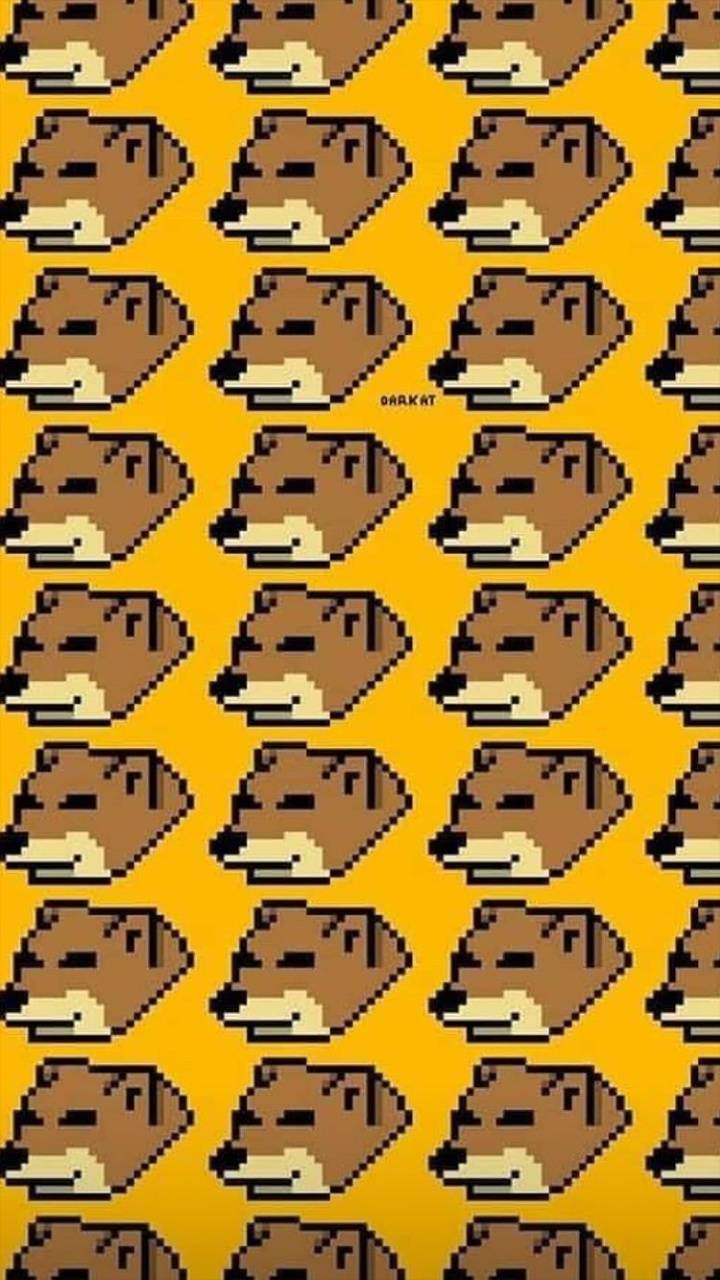 Cheems Wallpapers - Top Free Cheems Backgrounds - WallpaperAccess