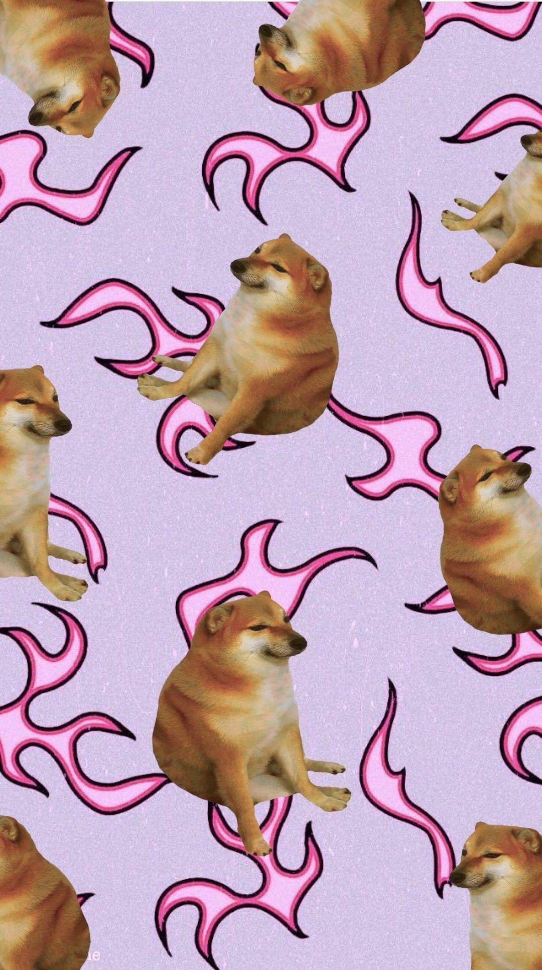 Cheems Wallpapers - Top Free Cheems Backgrounds - WallpaperAccess