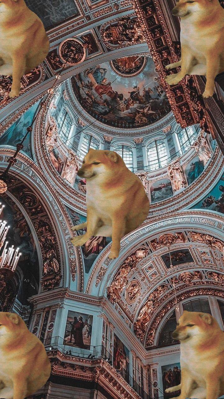 Cheems Wallpapers - Top Free Cheems Backgrounds - WallpaperAccess