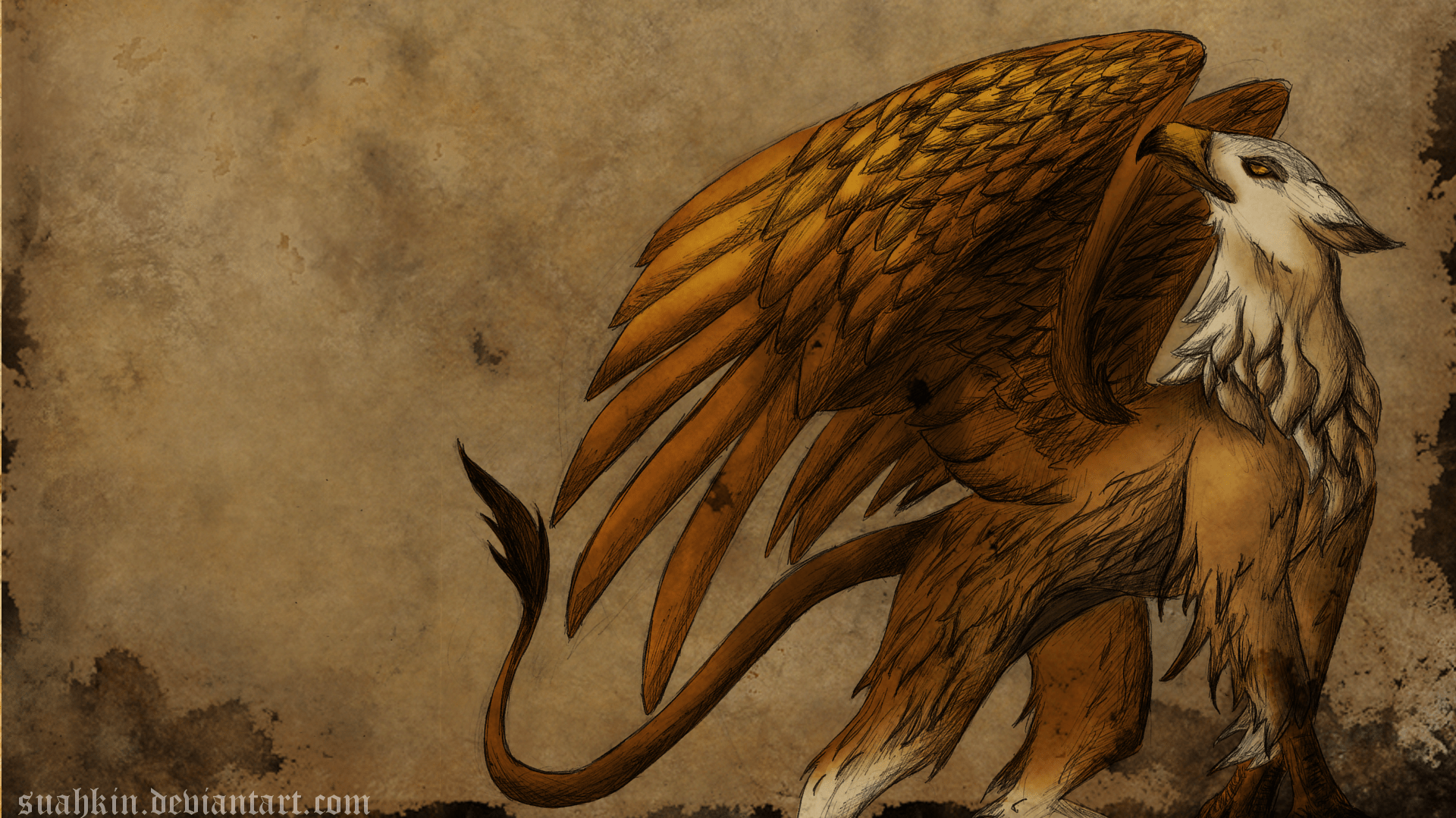 Gryphon Wallpapers - Top Free Gryphon Backgrounds - WallpaperAccess