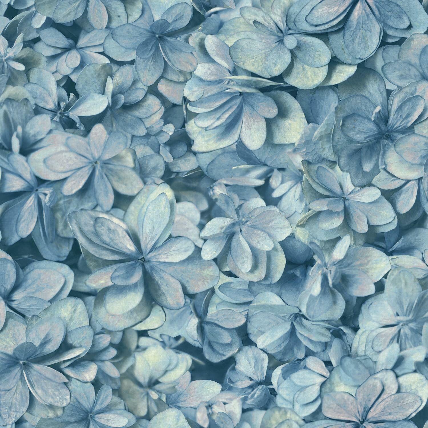 Blue Hydrangea Wallpapers - Top Free Blue Hydrangea Backgrounds ...