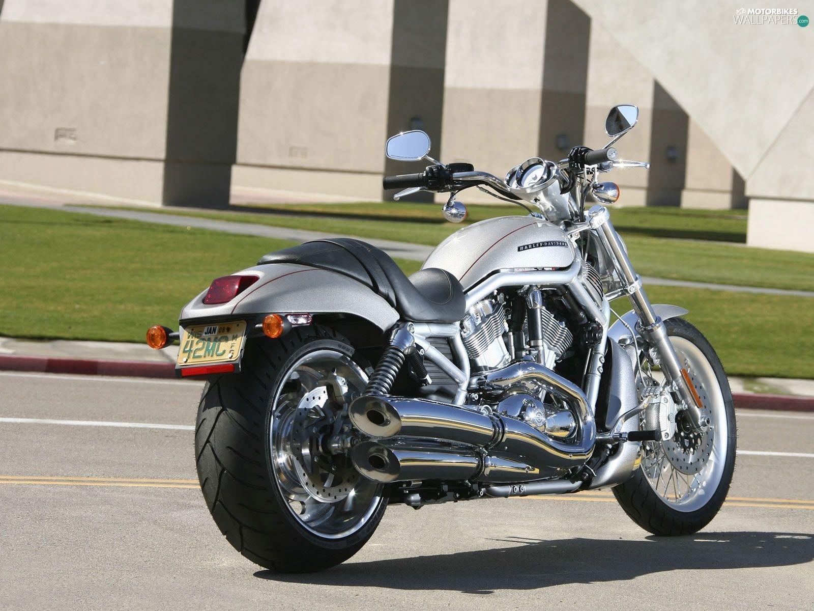 V-Rod Wallpapers - Top Free V-Rod Backgrounds - WallpaperAccess