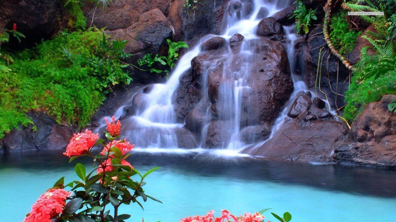 Rainforest Waterfall Wallpapers - Top Free Rainforest Waterfall ...