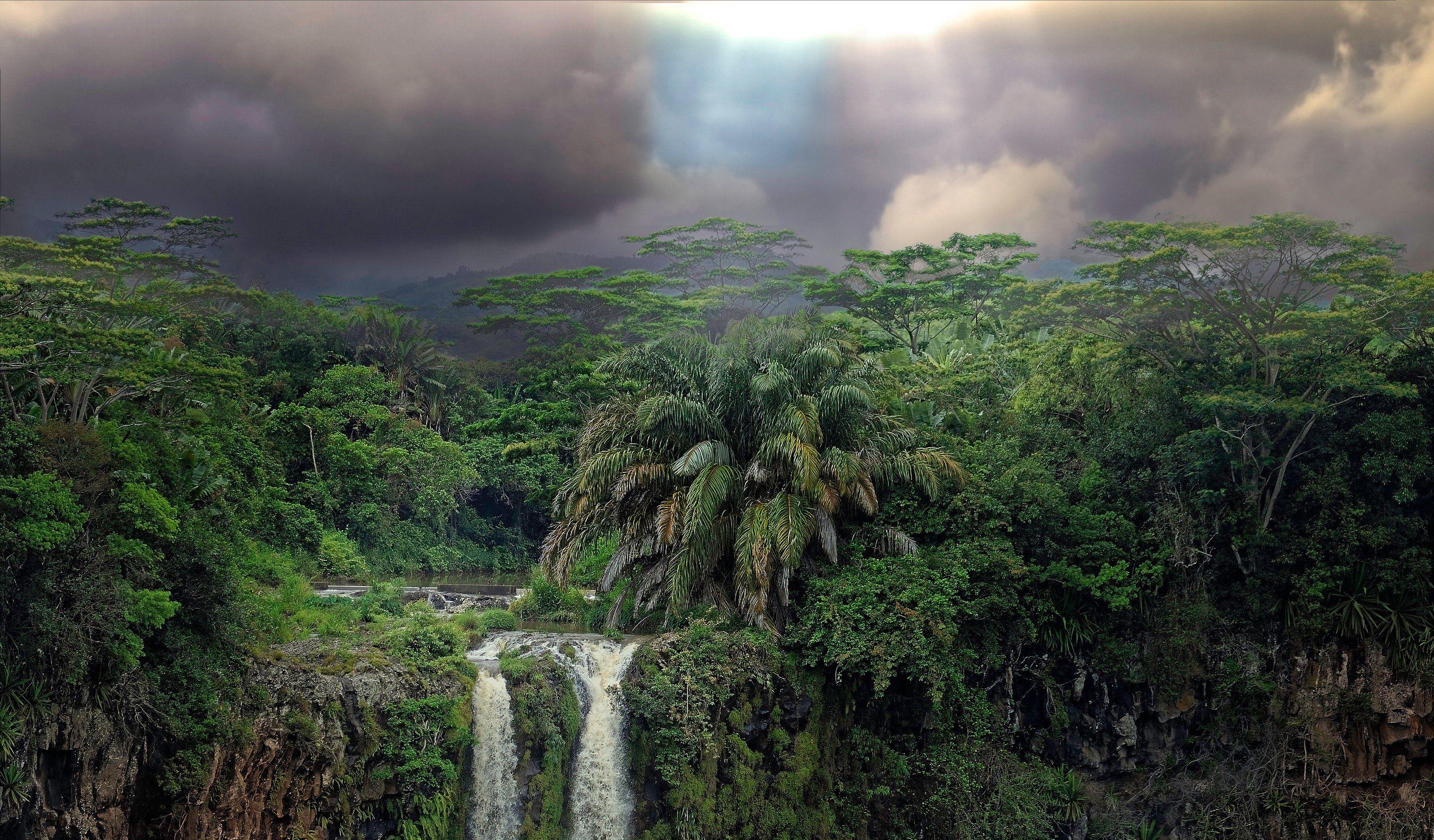 Rainforest Waterfall Wallpapers - Top Free Rainforest Waterfall ...