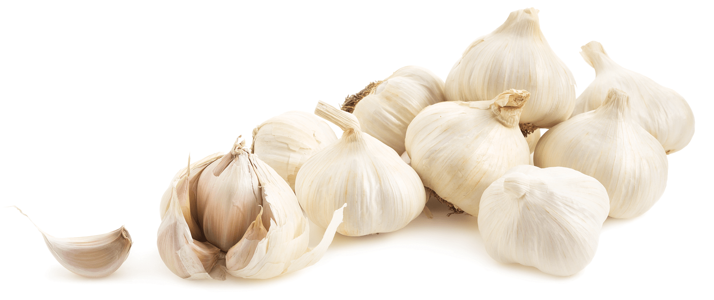 Garlic Wallpapers - Top Free Garlic Backgrounds - WallpaperAccess