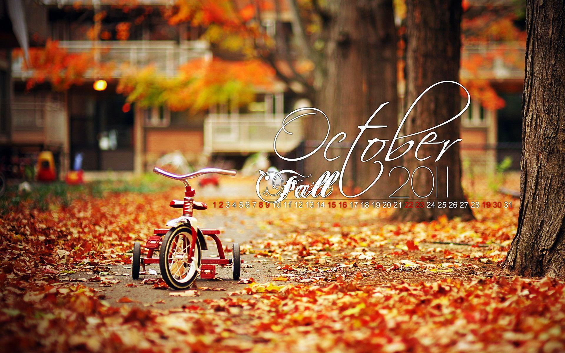 Abstract Fall Wallpapers - Top Free Abstract Fall Backgrounds ...