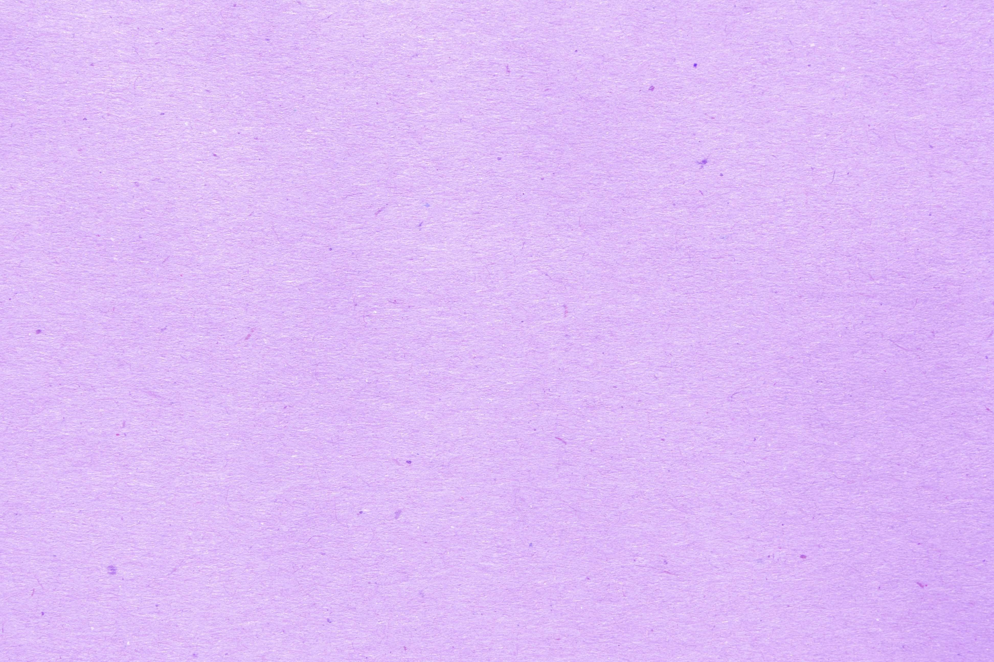 Lavender Plain Wallpapers - Top Free Lavender Plain Backgrounds ...
