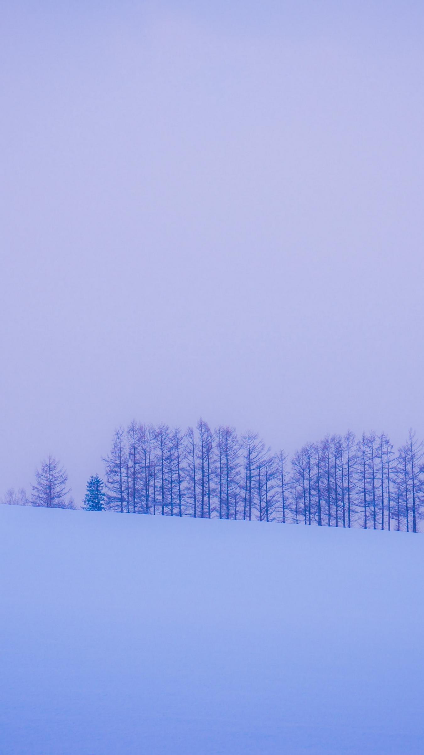 Winter Minimal Wallpapers - Top Free Winter Minimal Backgrounds ...