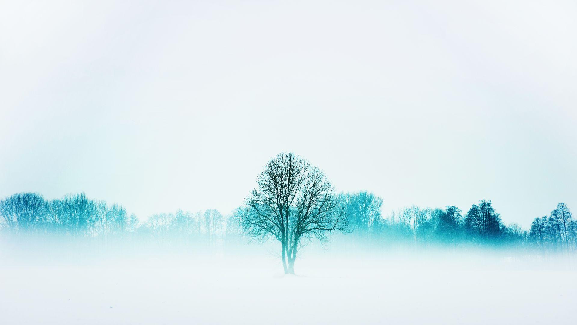 Winter Minimal Wallpapers - Top Free Winter Minimal Backgrounds ...