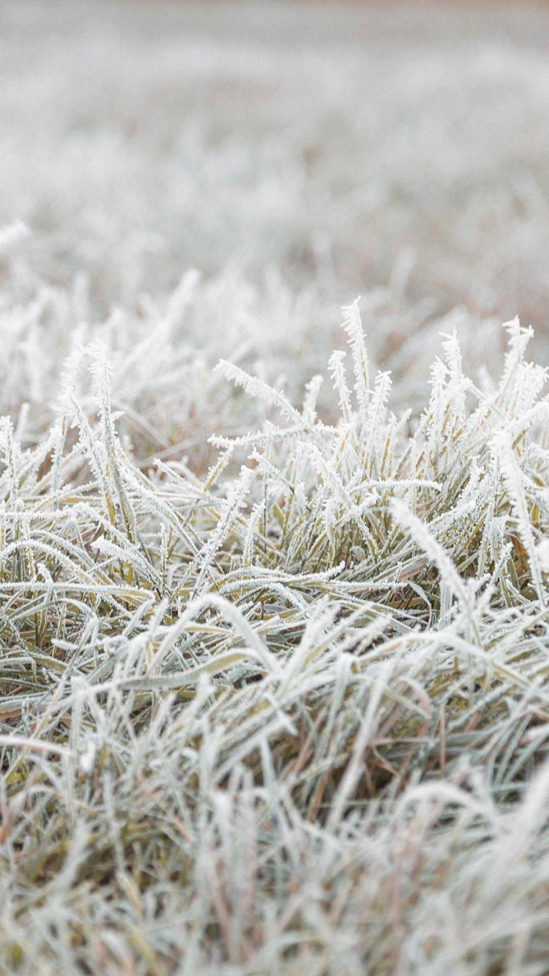 Frozen Earth Wallpapers - Top Free Frozen Earth Backgrounds ...