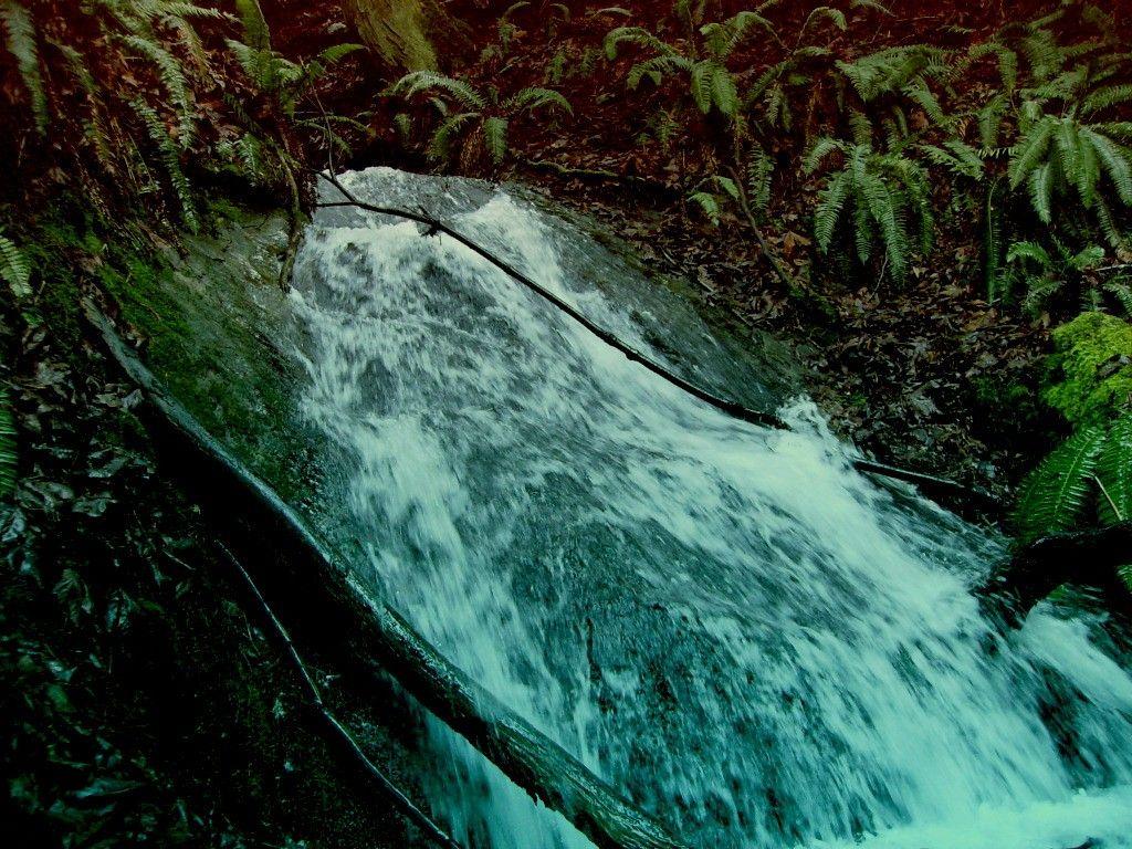 Pacific Northwest Landscape Wallpapers - Top Free Pacific Northwest ...