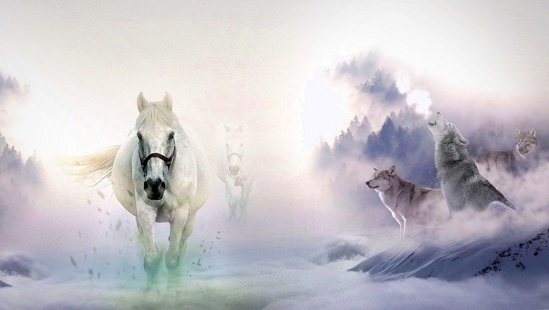 Horse and Wolf Wallpapers - Top Free Horse and Wolf Backgrounds ...