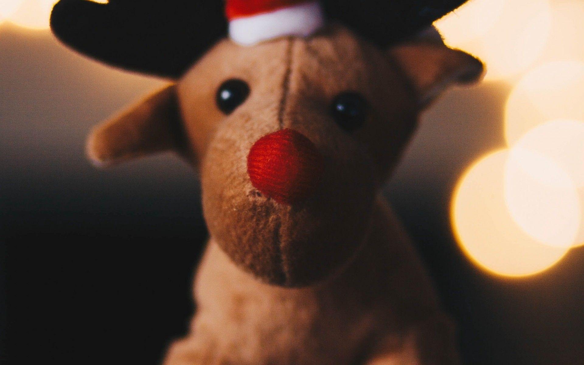 1920X1200 HD Rudolph Wallpapers - Top Free 1920X1200 HD Rudolph ...