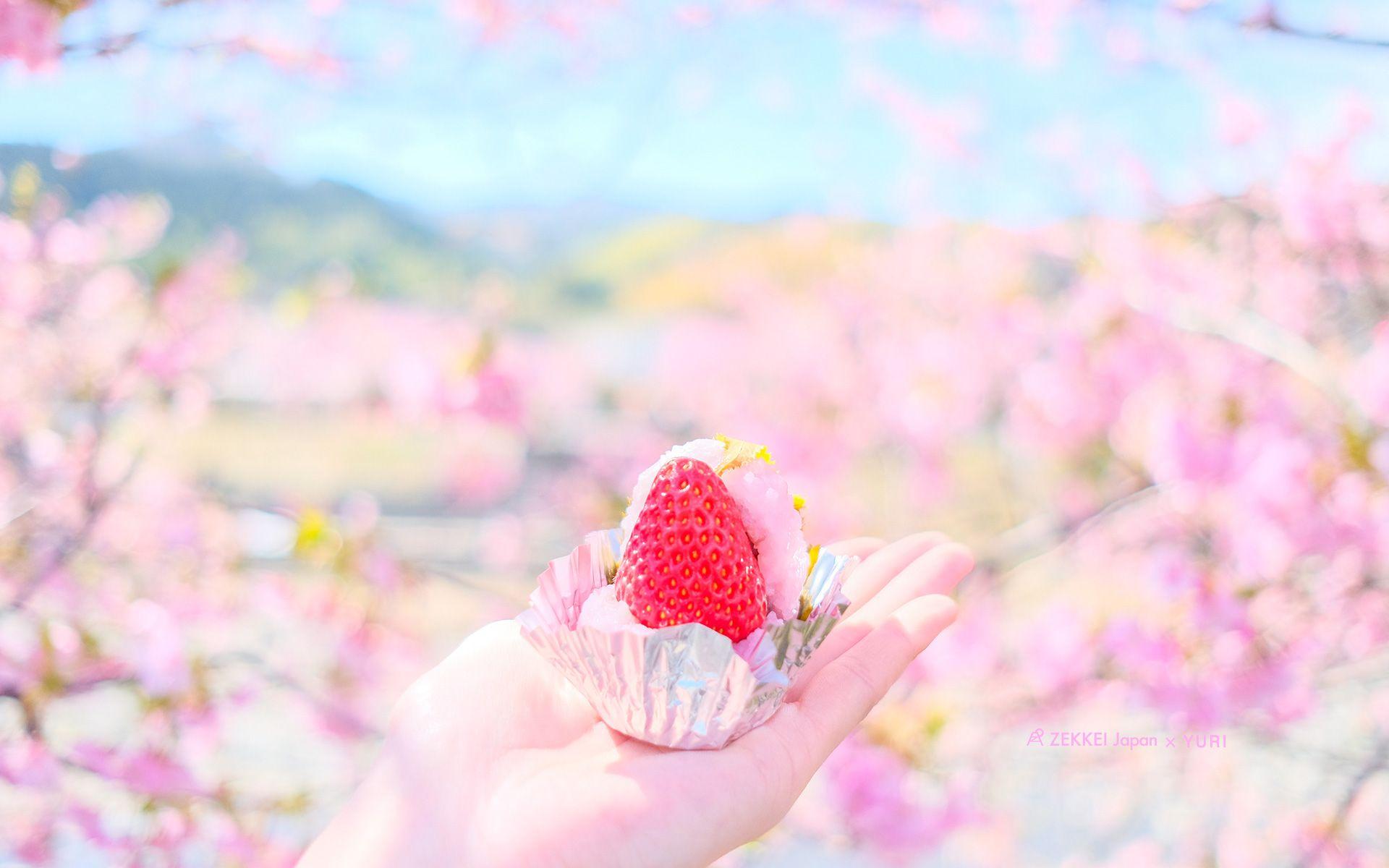 Pastel Japan Wallpapers - Top Free Pastel Japan Backgrounds ...