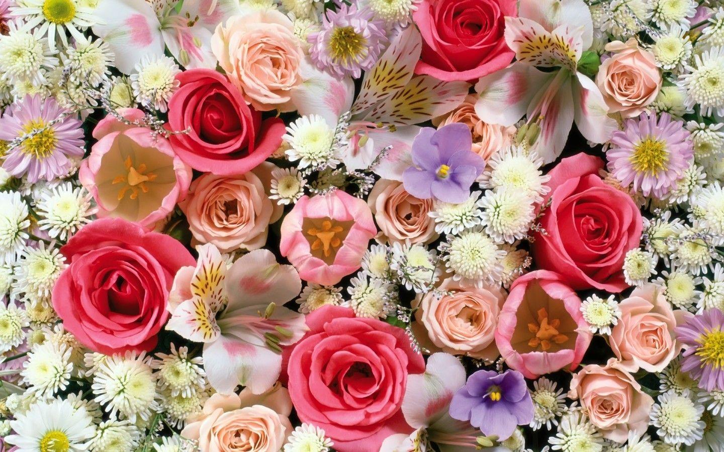 Floral MacBook Wallpapers - Top Free Floral MacBook Backgrounds ...