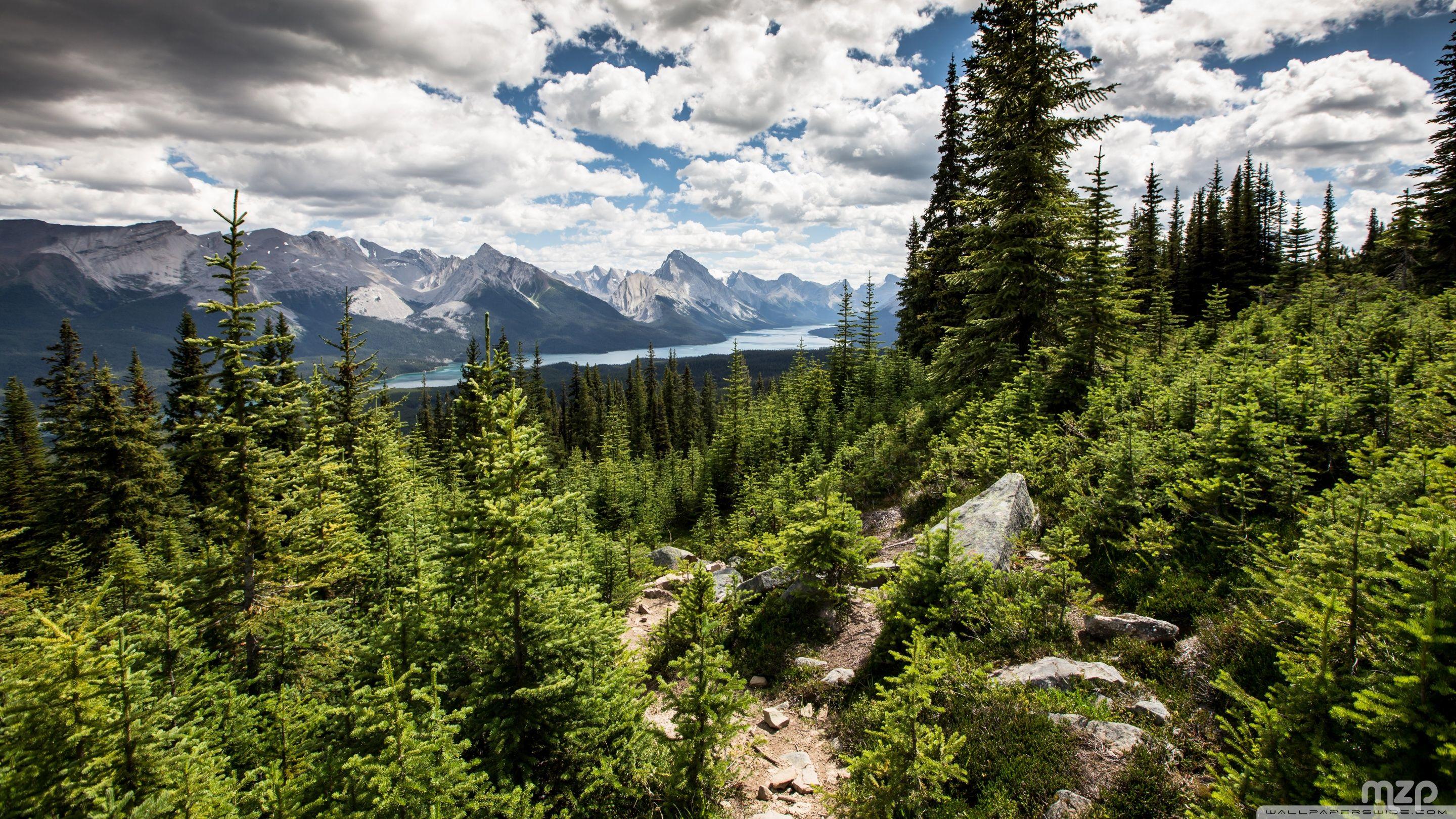 Jasper National Park Wallpapers - Top Free Jasper National Park ...