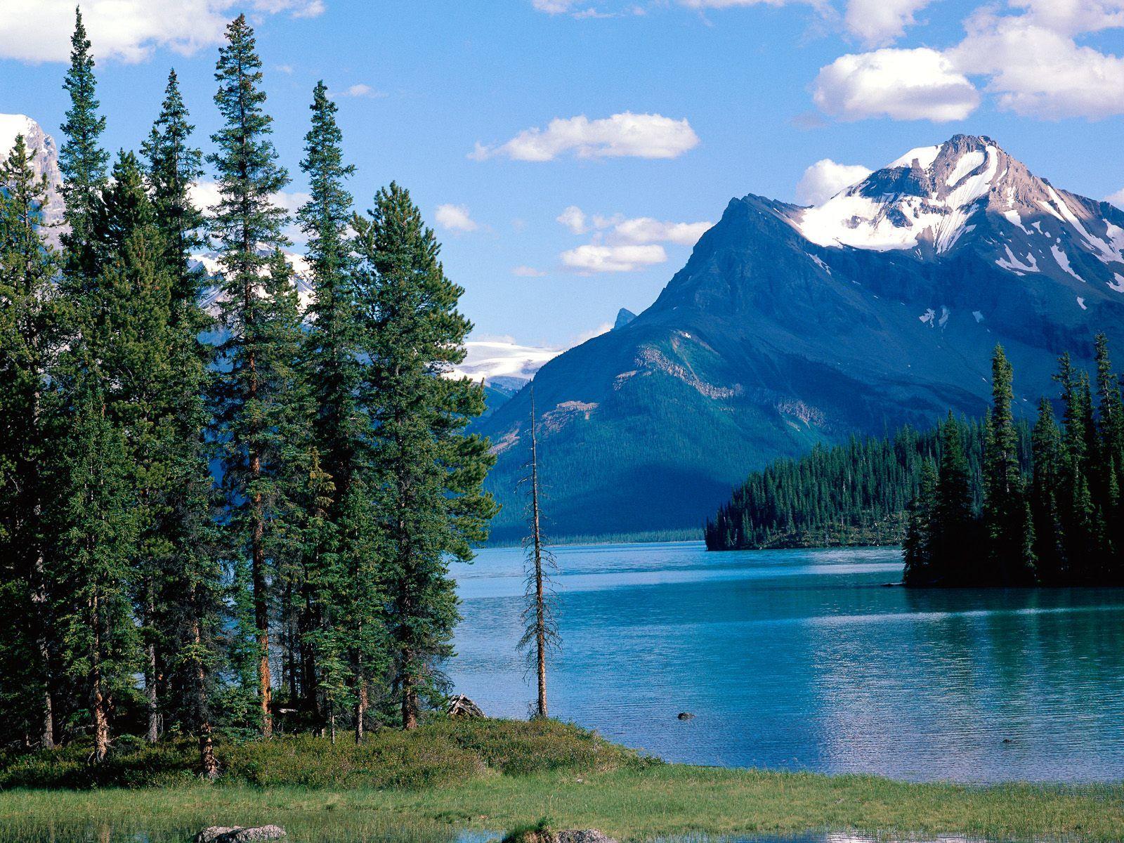 Jasper National Park Wallpapers - Top Free Jasper National Park ...