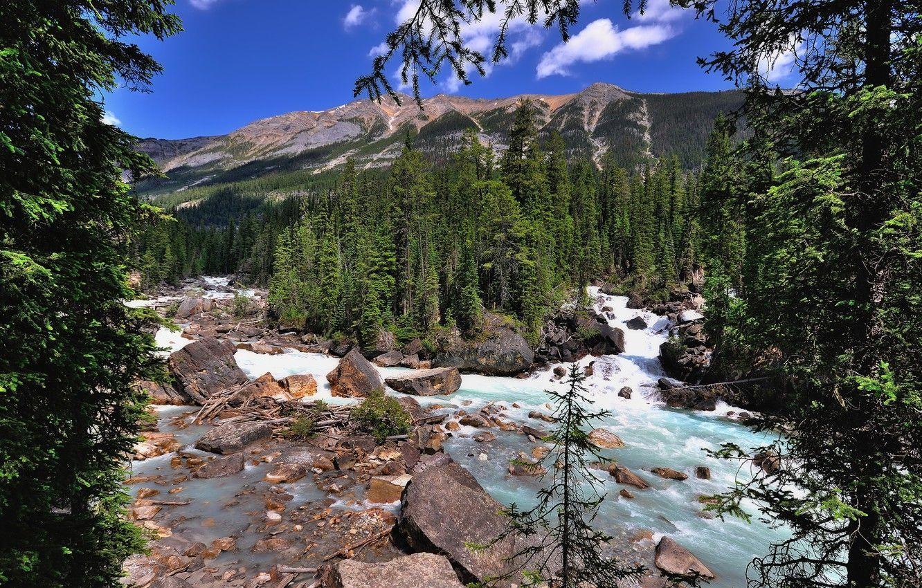 Jasper National Park Wallpapers - Top Free Jasper National Park ...