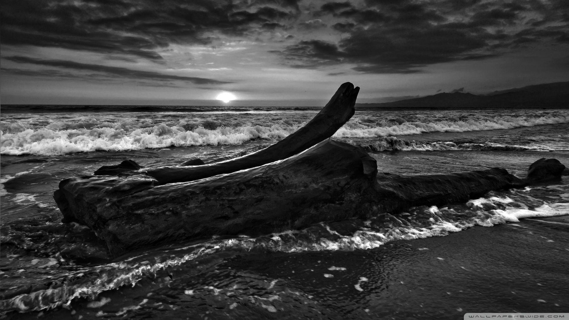 Monochromatic Wallpapers - Top Free Monochromatic Backgrounds ...