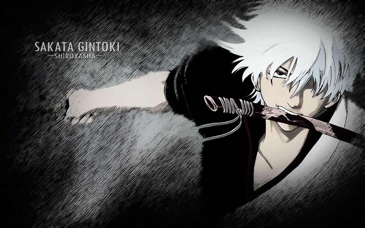 Sakata Gintoki Wallpapers - Top Free Sakata Gintoki Backgrounds ...