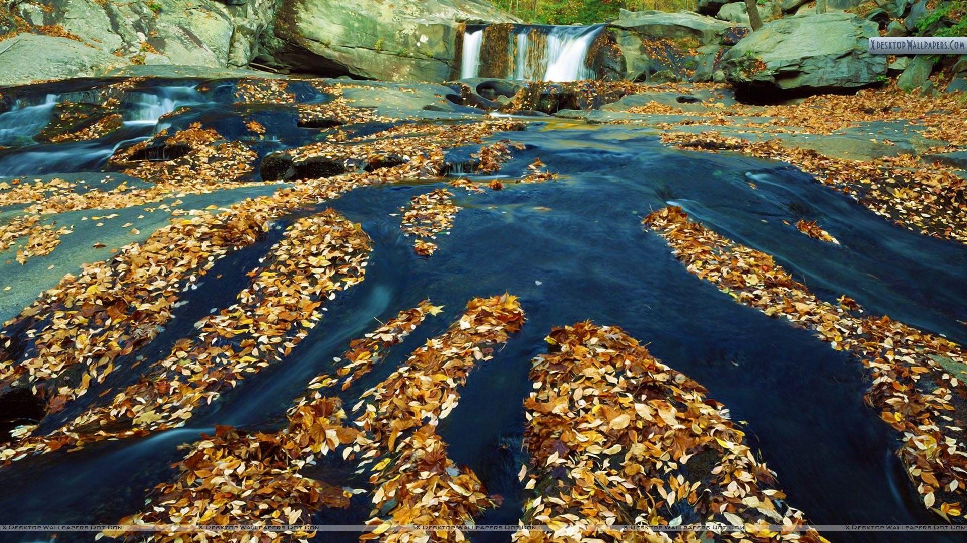 Cherokee Nation Wallpapers - Top Free Cherokee Nation Backgrounds ...