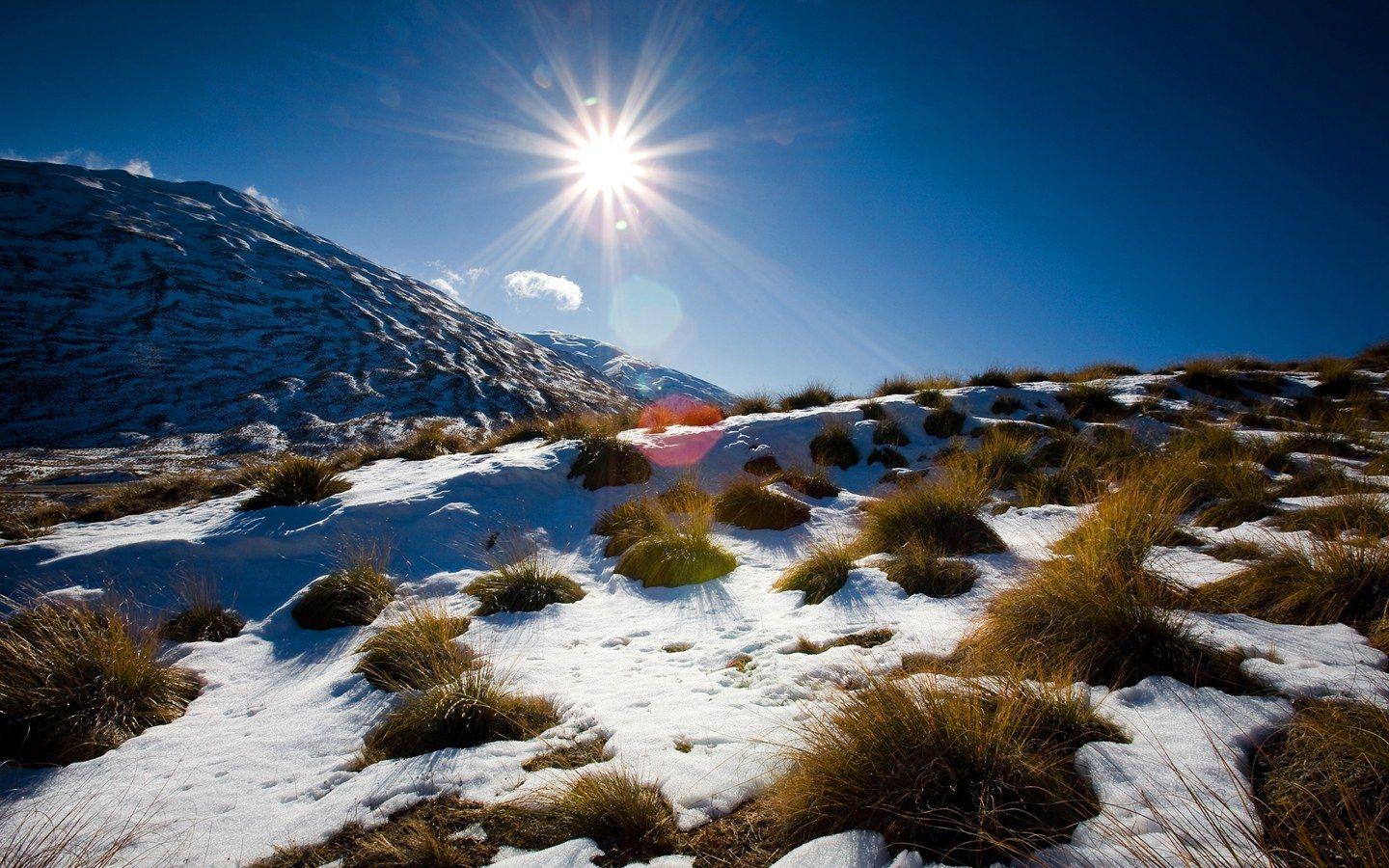 New Zealand Spring Wallpapers - Top Free New Zealand Spring Backgrounds ...