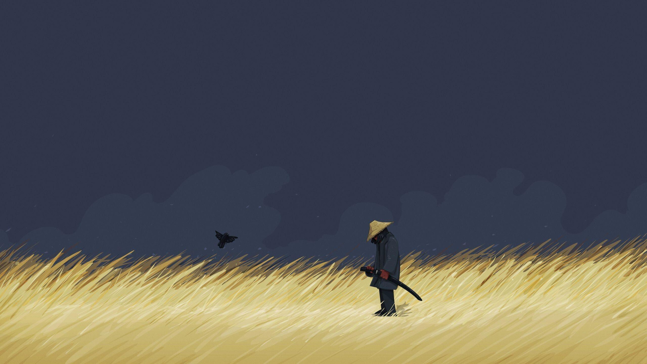 Samurai 2560X1440 Wallpapers - Top Free Samurai 2560X1440 Backgrounds ...