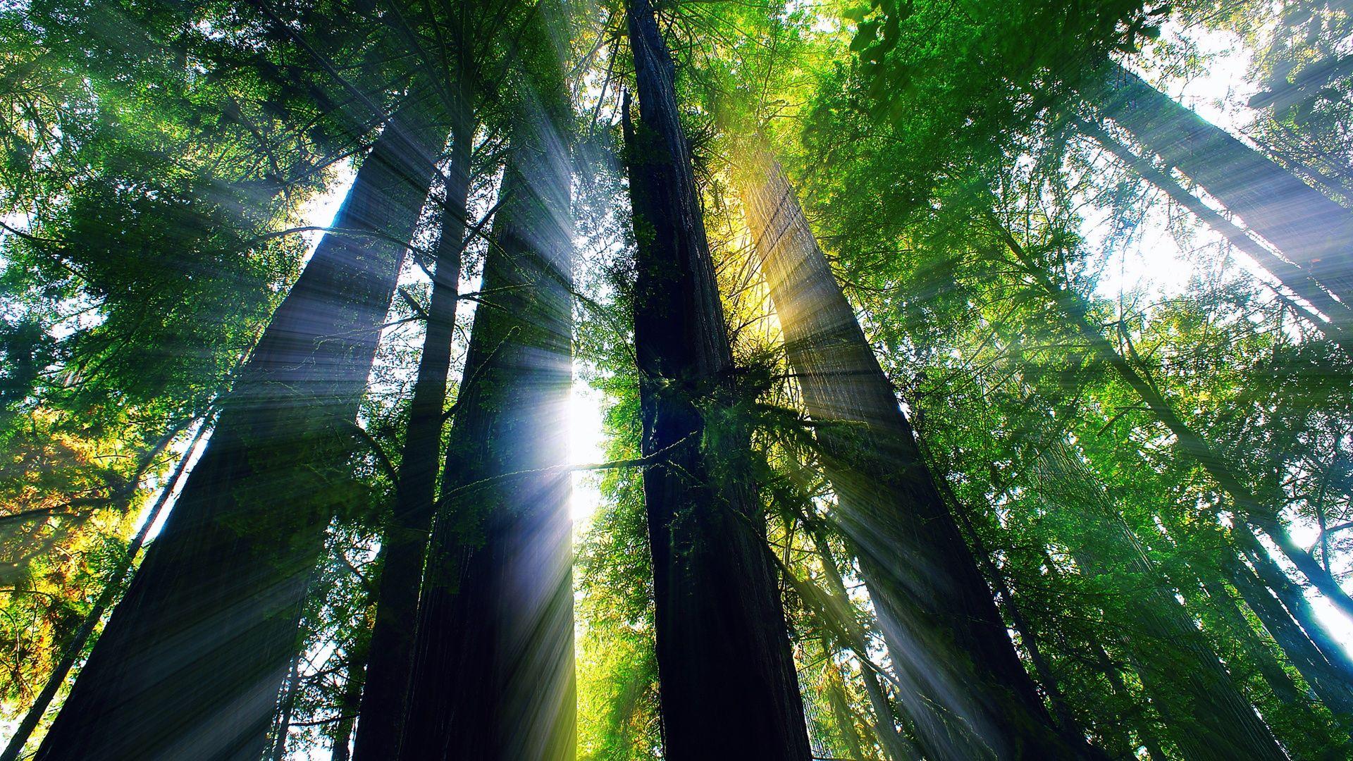 California Summer Wallpapers - Top Free California Summer Backgrounds ...