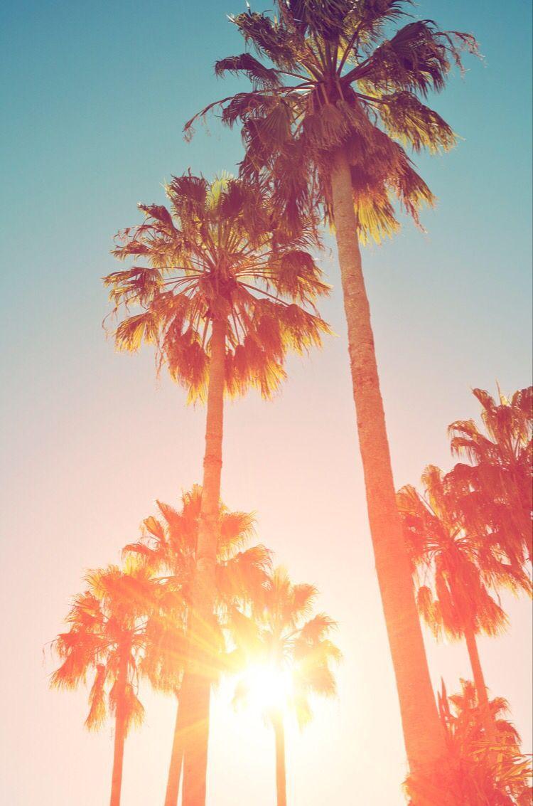California Summer Wallpapers - Top Free California Summer Backgrounds ...