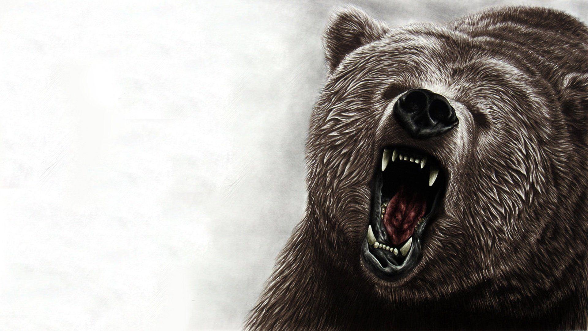 Bear HD Wallpapers - Top Free Bear HD Backgrounds - WallpaperAccess