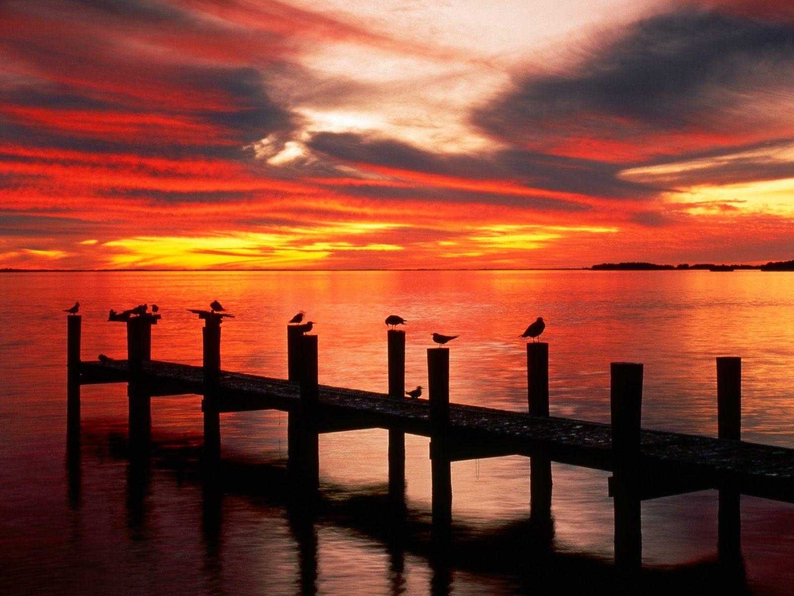 Florida Sunset Wallpapers - Top Free Florida Sunset Backgrounds ...