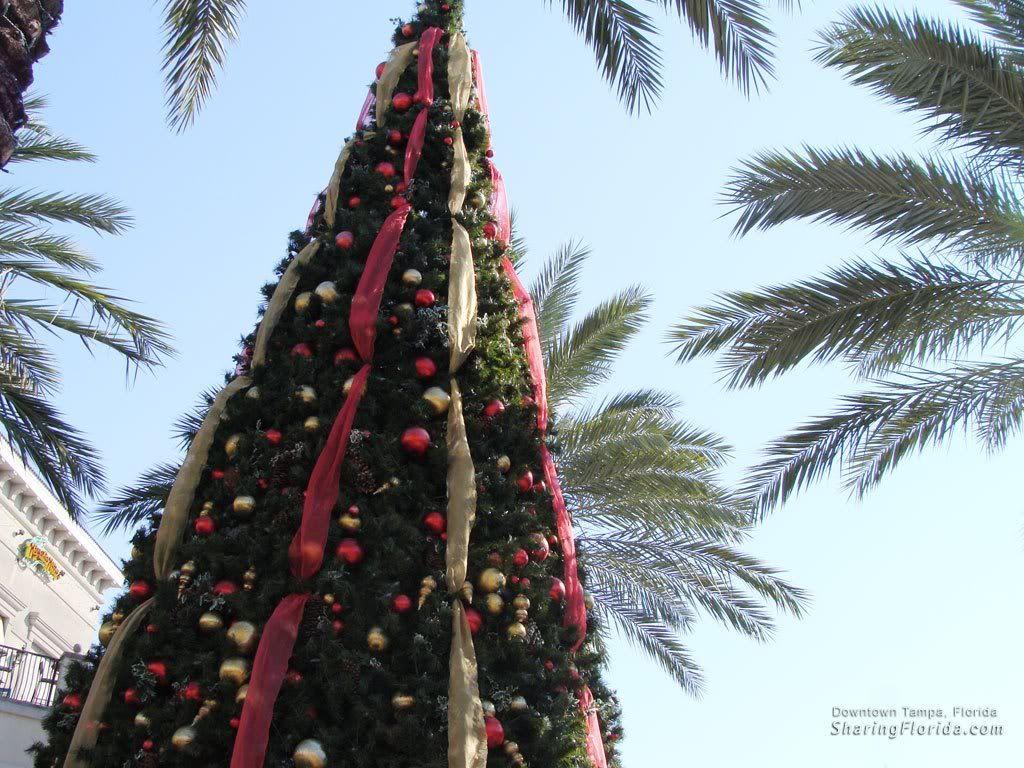 Florida Christmas Wallpapers - Top Free Florida Christmas Backgrounds ...