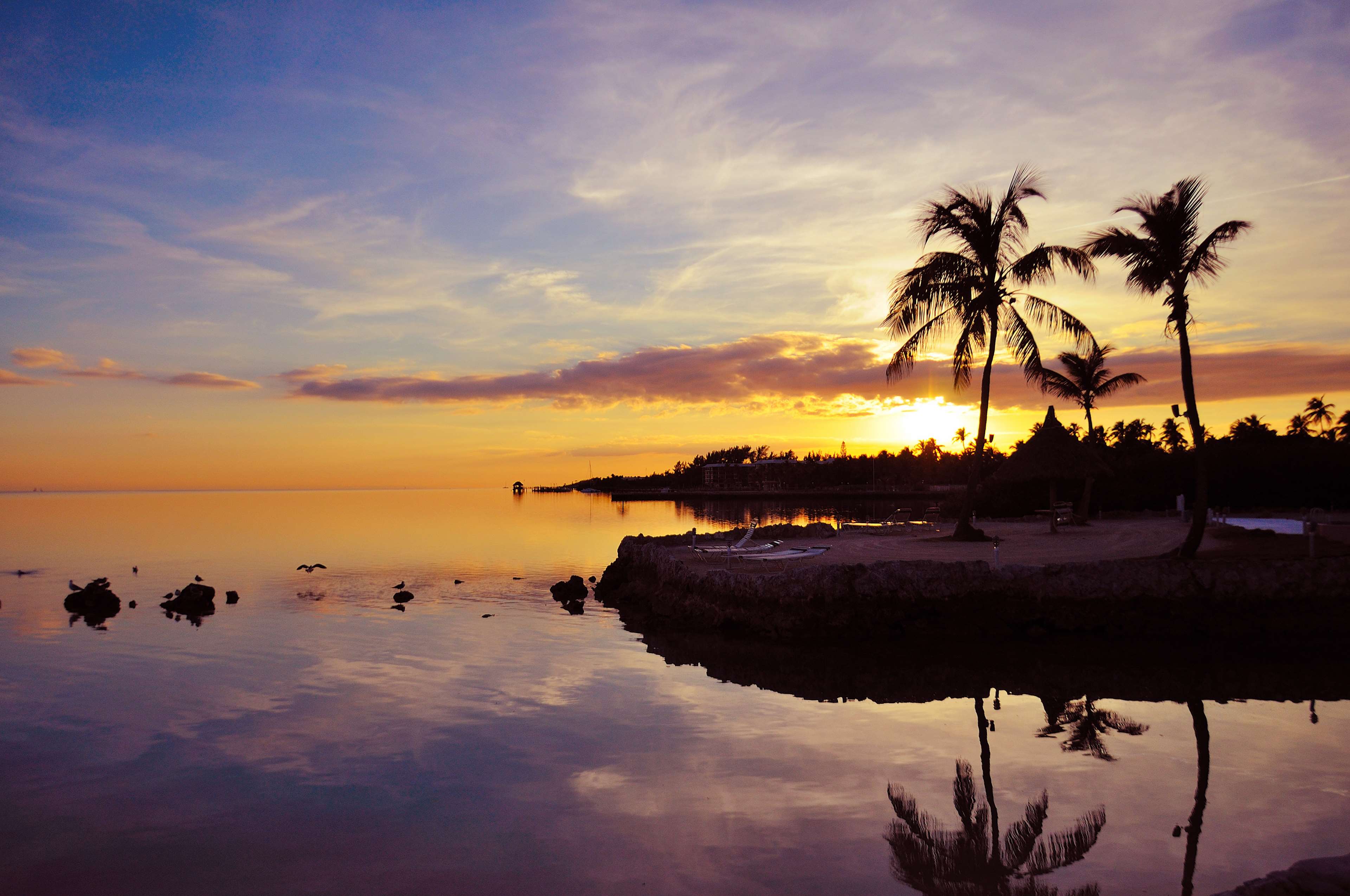 Florida Sunset Wallpapers - Top Free Florida Sunset Backgrounds ...