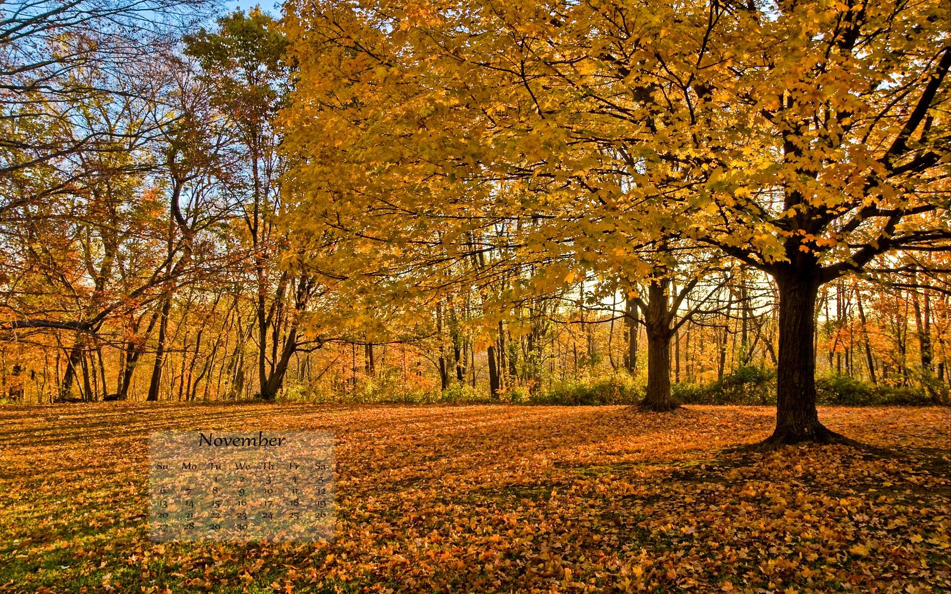 November Snow Wallpapers - Top Free November Snow Backgrounds ...